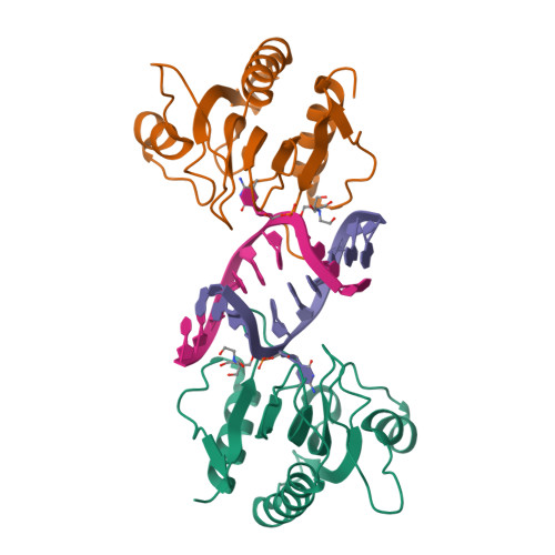 RCSB PDB - 8IK4: Structure of DNA binding domain of McrBC endonuclease ...