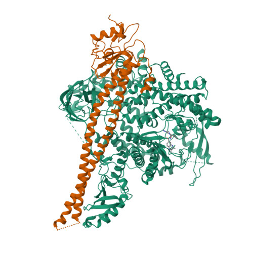 RCSB PDB - 8ILV: Cryo-EM structure of PI3Kalpha in complex with compound 18