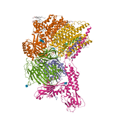 RCSB PDB - 8IMX: Cryo-EM structure of GPI-T with a chimeric GPI ...