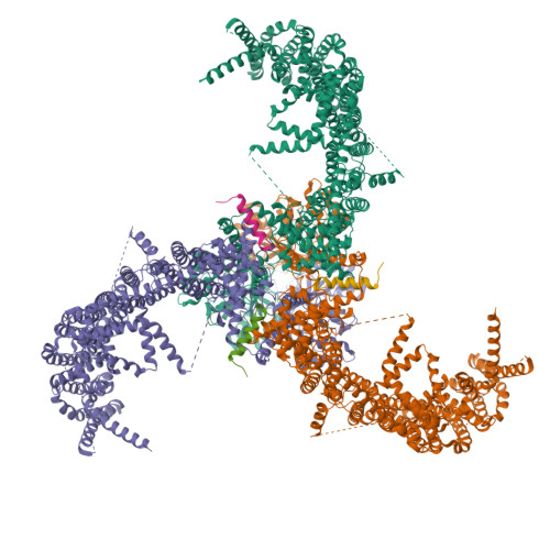 RCSB PDB - 8IMZ: Cryo-EM structure of mouse Piezo1-MDFIC complex ...