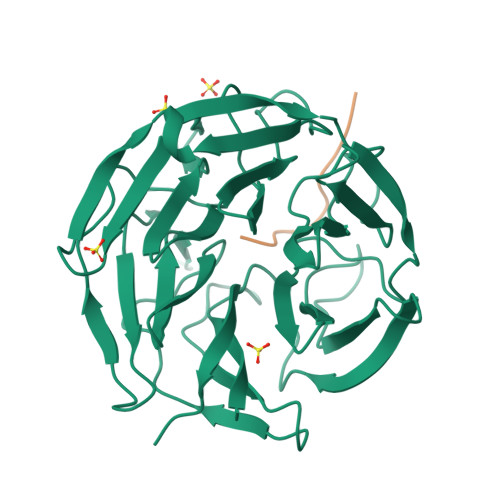 RCSB PDB - 8IN0: Structure of the Keap1 Kelch domain in complex with ...