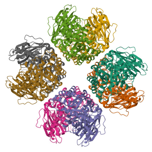 RCSB PDB - 8IOL: The complex of Rubisco large subunit (RbcL)