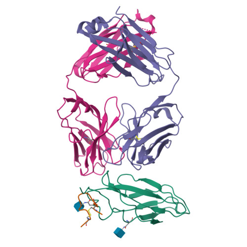 RCSB PDB - 8IOW: Cryo-EM structure of the sarilumab Fab/IL-6R complex