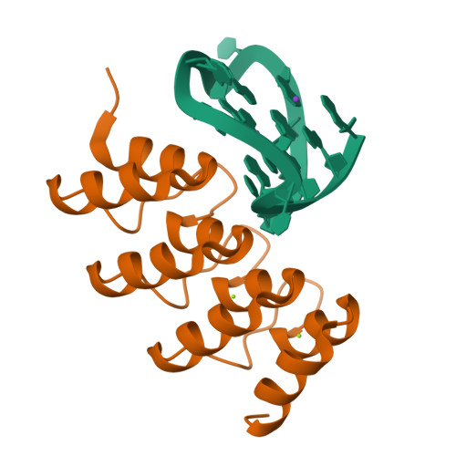 RCSB PDB - 8IPP: Crystal structure of the complex between an ankyrin ...
