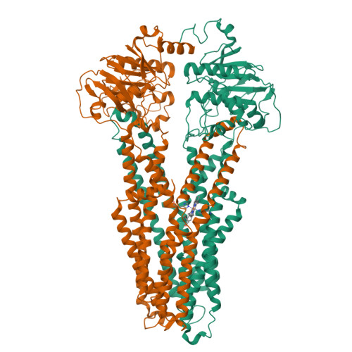 RCSB PDB - 8IPS: Cryo-EM structure of heme transporter CydDC from ...