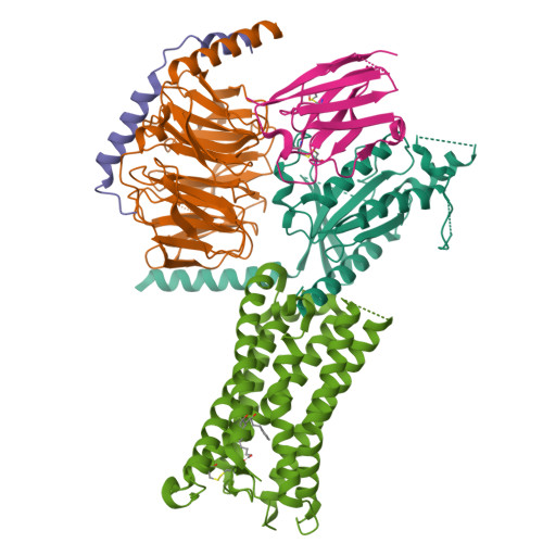 RCSB PDB - 8IQ6: Cryo-EM structure of Latanoprost-bound prostaglandin ...