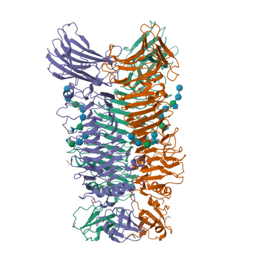 RCSB PDB - 8IQ9: Crystal structure of trimeric K2-2 TSP in complex with ...