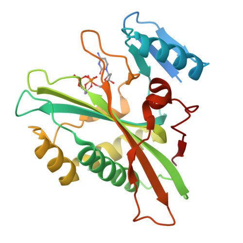 RCSB PDB - 8IQD: Crystal structure of AsfvPrimPol N-terminal Prim/Pol ...