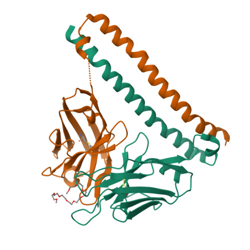 RCSB PDB - 8IQR: Crystal structure of Anti-PEG antibody M9 Fv-clasp ...