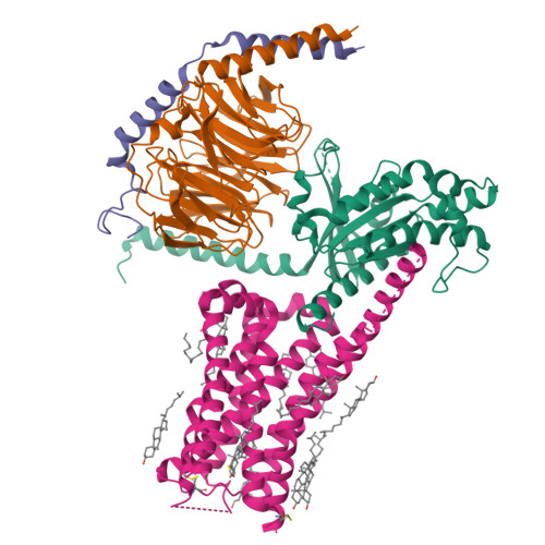 RCSB PDB - 8IRV: Dopamine Receptor D5R-Gs-Rotigotine complex