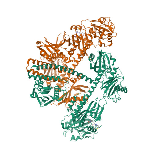 RCSB PDB - 8ISK: Pr conformer of Zea mays phytochrome A1 - ZmphyA1-Pr