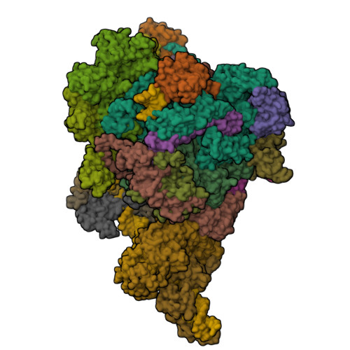 RCSB PDB - 8IUE: RNA polymerase III pre-initiation complex melting ...