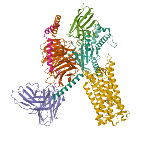 RCSB PDB - 8IUK: Cryo-EM structure of the PGF2-alpha-bound human PTGFR ...