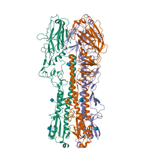 RCSB PDB - 8IUX: The cryoEM structure of H7N9-HA protein