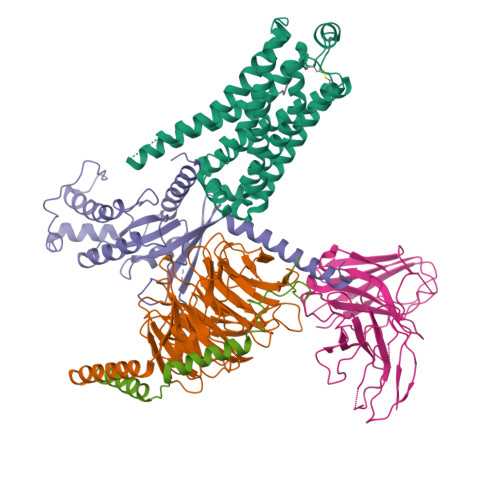 RCSB PDB - 8IW7: Cryo-EM structure of the PEA-bound mTAAR9-Gs complex