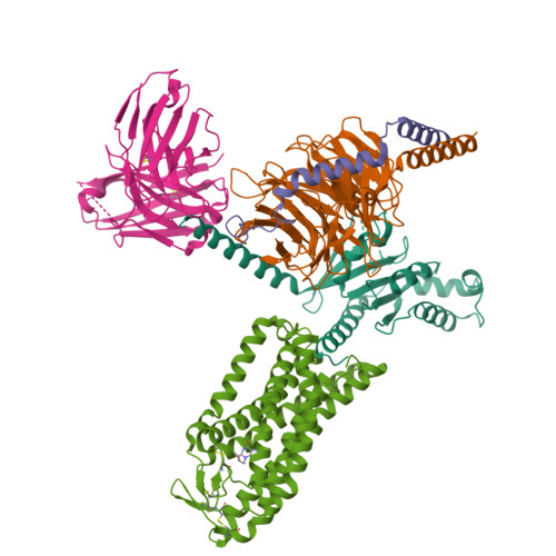 RCSB PDB - 8IYW: Structure of GSK256073-GPR109A-G-protein complex