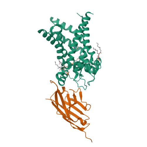 RCSB PDB - 8J1N: Structure of human UCP1 in the DNP-bound state