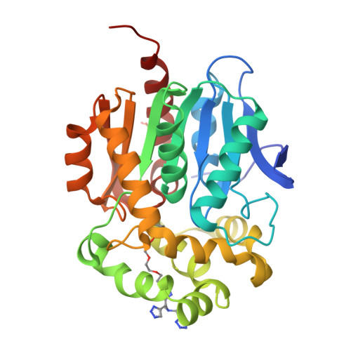 RCSB PDB - 8J1O: Crystal structure of HaloTag complexed with BTTA