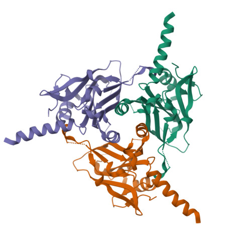 RCSB PDB - 8J2Q: Crystal structure of Cypovirus Polyhedra mutant fused ...