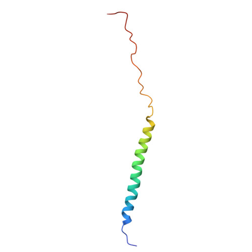RCSB PDB - 8J3V: Structure of the transmembrane domain of human PD-L2