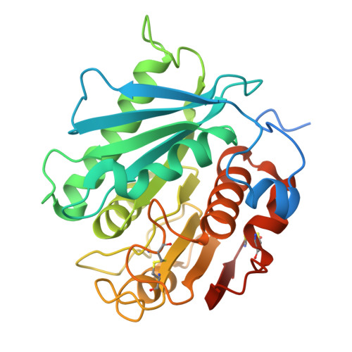 RCSB PDB - 8J5N: Crystal structure of a PETase variant V20 from ...