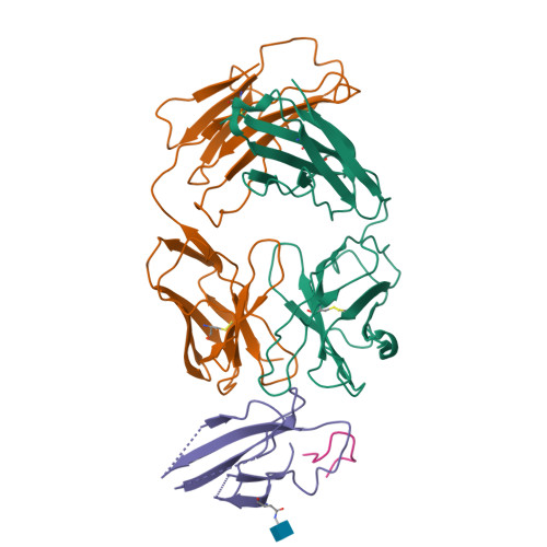 RCSB PDB - 8J6F: Cryo-EM structure of the Tocilizumab Fab/IL-6R complex
