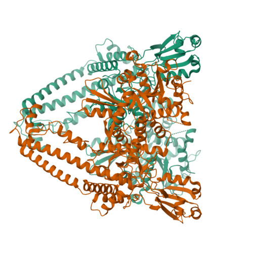 RCSB PDB - 8J8B: Cryo-EM structure of Asfv topoisomerase 2 - apo ...