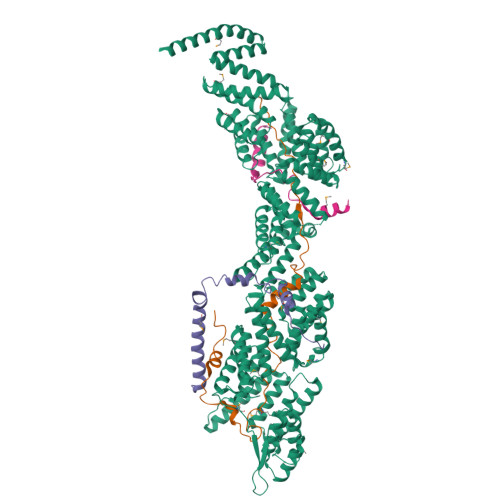 RCSB PDB - 8J8Q: Structure of the four-component Paf1 complex from ...