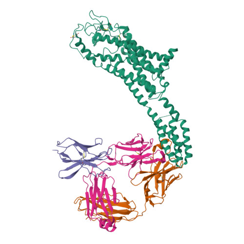RCSB PDB - 8J9O: Cryo-EM structure of inactive FZD1