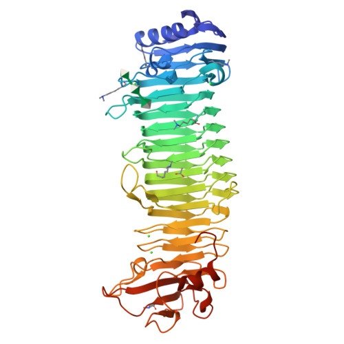 RCSB PDB - 8JA6: Structure of the alginate epimerase/lyase complexed ...