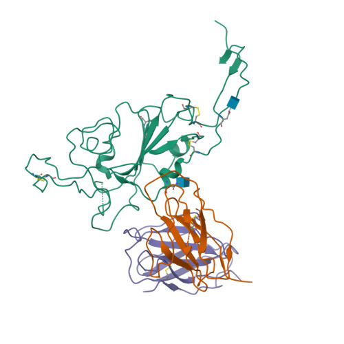 RCSB PDB - 8JAP: Cryo-EM structure of SARS-CoV-2 WT RBD in complex with W328-6H2 (local refinement)