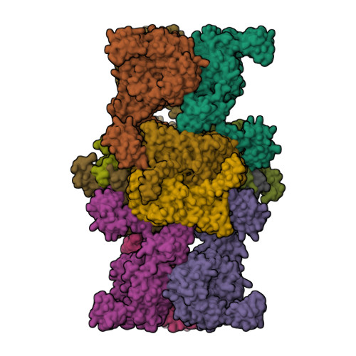 RCSB PDB - 8JAW: Human MCC in MCCD state