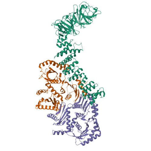 RCSB PDB - 8JBE: CryoEM Structure of metazoan Mon1-Ccz1-RMC1 complex