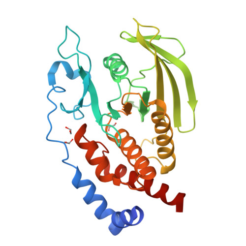 RCSB PDB - 8JBN: Vascular endothelial protein tyrosine phosphatase in ...
