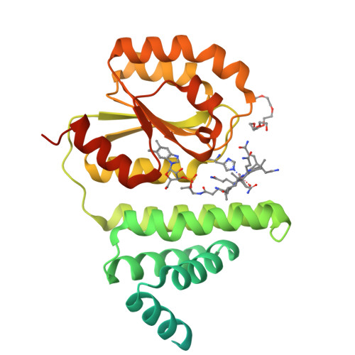 RCSB PDB - 8JBT: B12-binding domain from Chloracidobacterium ...