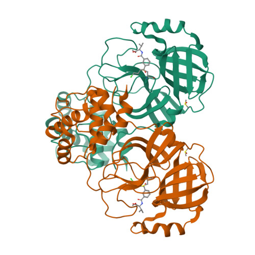 RCSB PDB - 8JCO: The crystal structure of SARS-CoV-2 main protease in ...