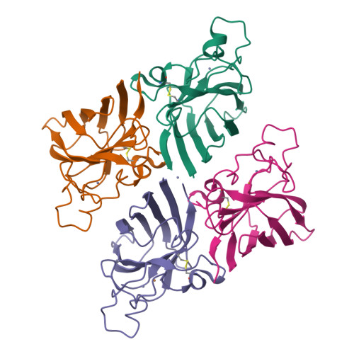 RCSB PDB - 8JD8: Crystal structure of Citrus limon Cu-Zn superoxide ...