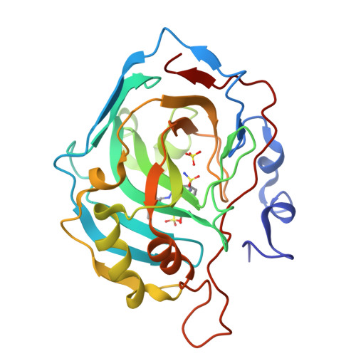 RCSB PDB - 8JEE: Crystal Structure of Human Carbonic Anhydrase II In ...