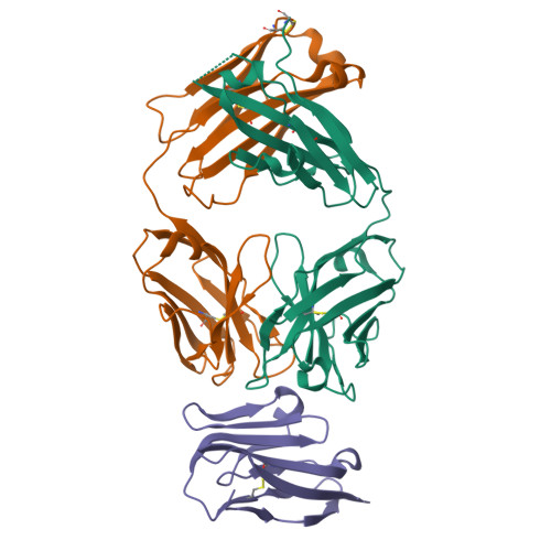RCSB PDB - 8JEN: Crystal structure of TIGIT in complexed with ...