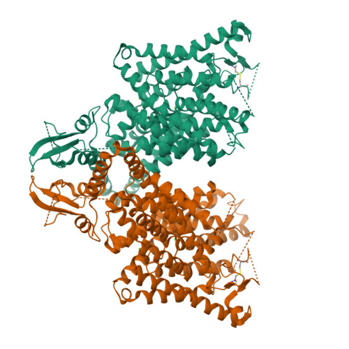 RCSB PDB - 8JEV: Cryo-EM structure of apo state mClC-3