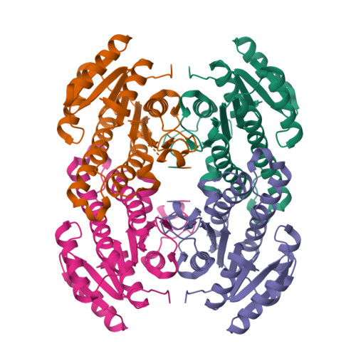 RCSB PDB - 8JF9: Crystal structure of 3-oxoacyl-ACP reductase FabG from ...