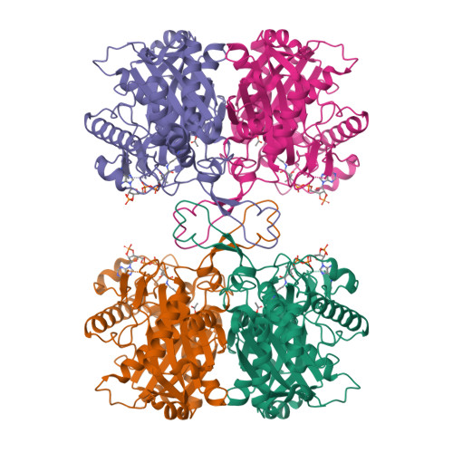 RCSB PDB - 8JG2: Crystal structure of a biosynthetic thiolase from ...