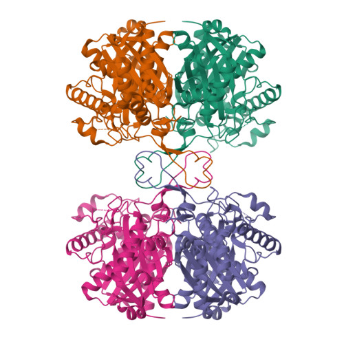 RCSB PDB - 8JG3: Biosynthetic thiolase from Clostridium kluyveri