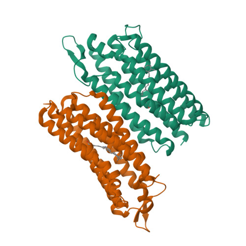 RCSB PDB - 8JH0: Crystal structure of the light-driven sodium pump IaNaR