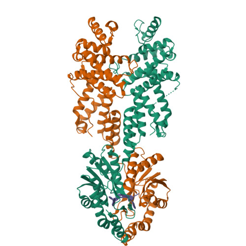 RCSB PDB - 8JH1: Crystal Structure of the Csm6 Y161A mutant from ...