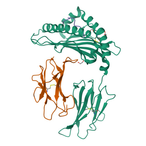 RCSB PDB - 8JHW: The first crystal structure of a H-2Kb-restricted ...