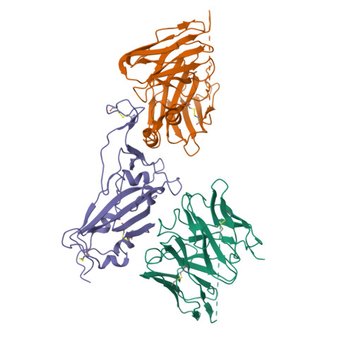 RCSB PDB - 8JIN: The local refined map of XBB spike protein (S) in ...
