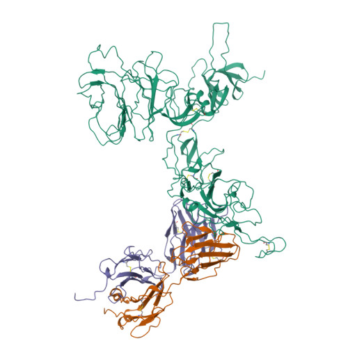 RCSB PDB - 8JIO: XBB spike protein (S) in complex with monoclonal ...