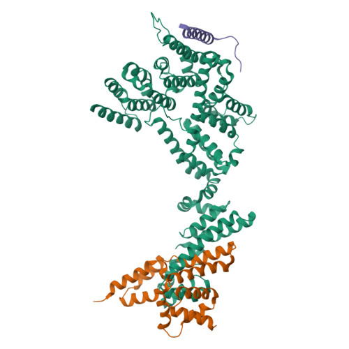 RCSB PDB - 8JJ6: Structure of the NELF-BCE complex