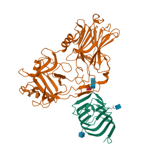 RCSB PDB - 8JLE: Cryo-EM structure of SV2A LD4 in complex with BoNT/A2 ...